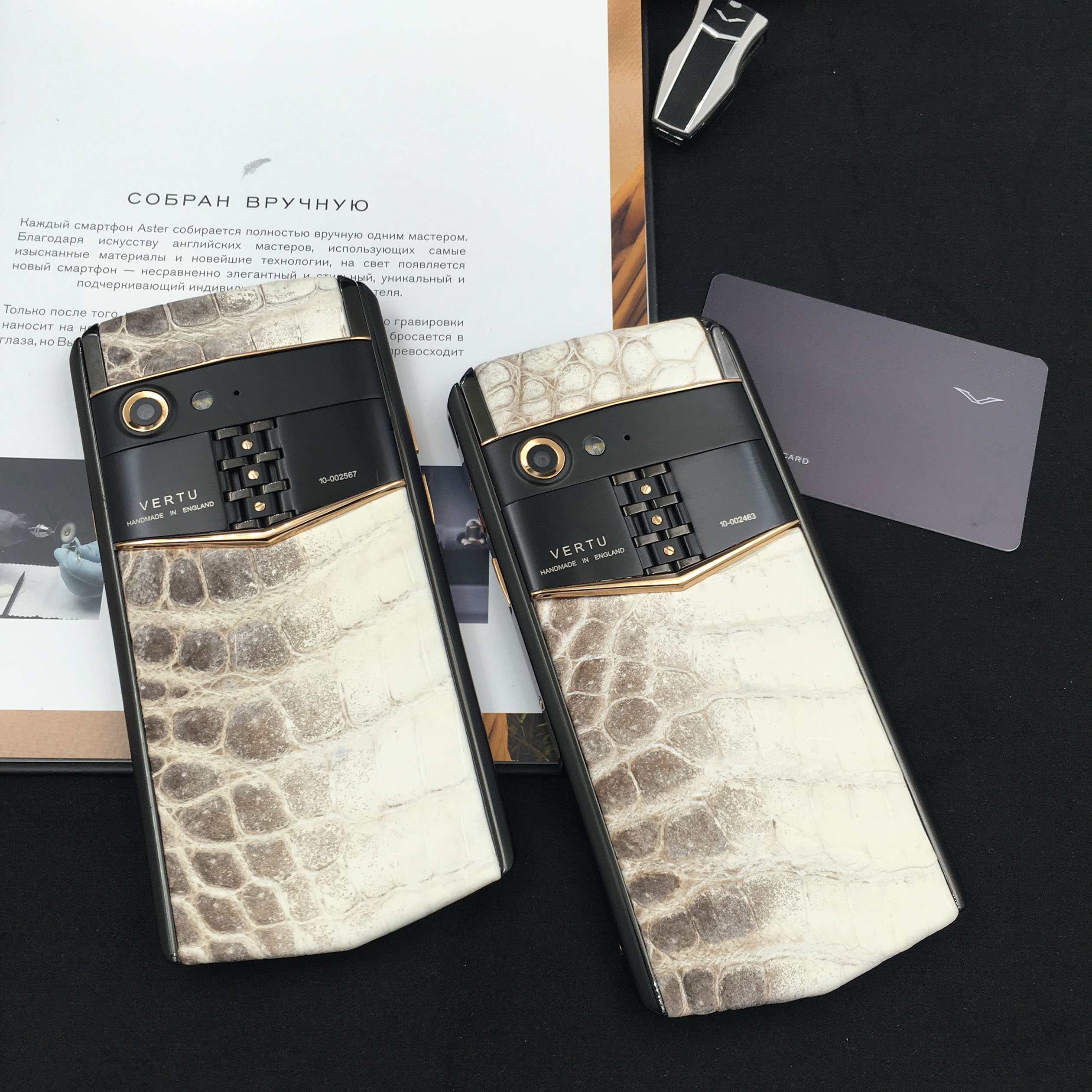ASTER P Gothic Himalaya Alligator – Go Easy For Vertu